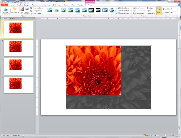 Help! Why Is My PowerPoint File So Big? - Nayamode | Bluewave - Blog